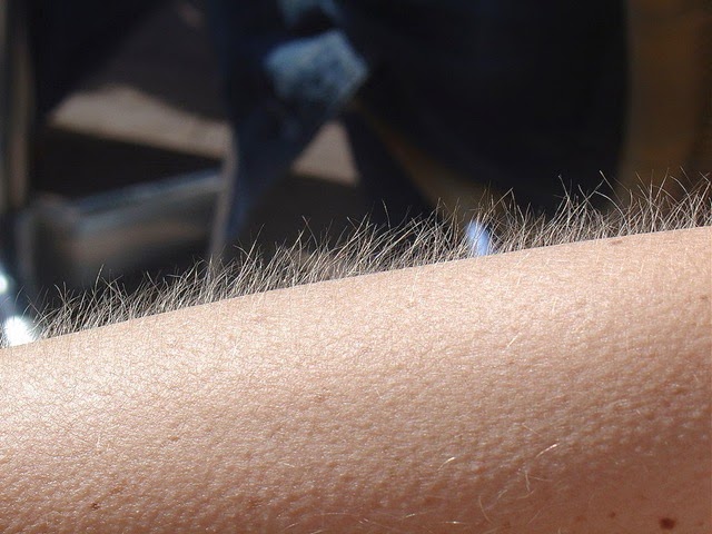 Why Do We Get Chills When We Are Not Cold? - The Camping Canuck