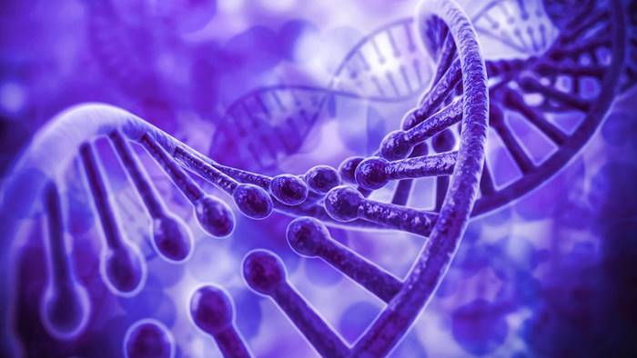 US scientists conduct first live gene editing experiment - The Camping ...